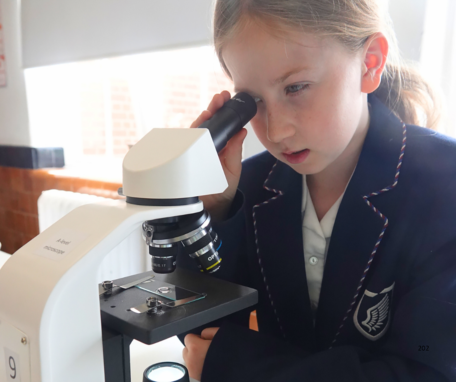 Curriculum – Kneller Hall School